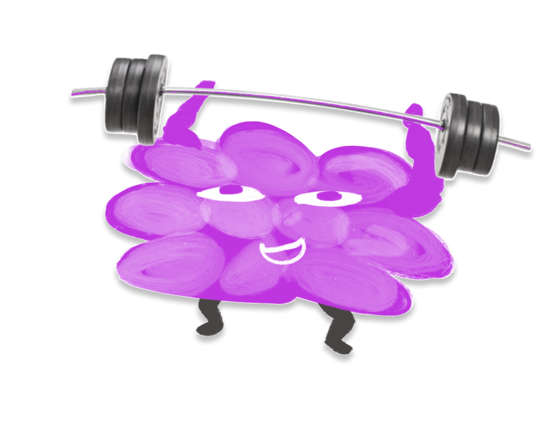 Sizzle - Learn anything